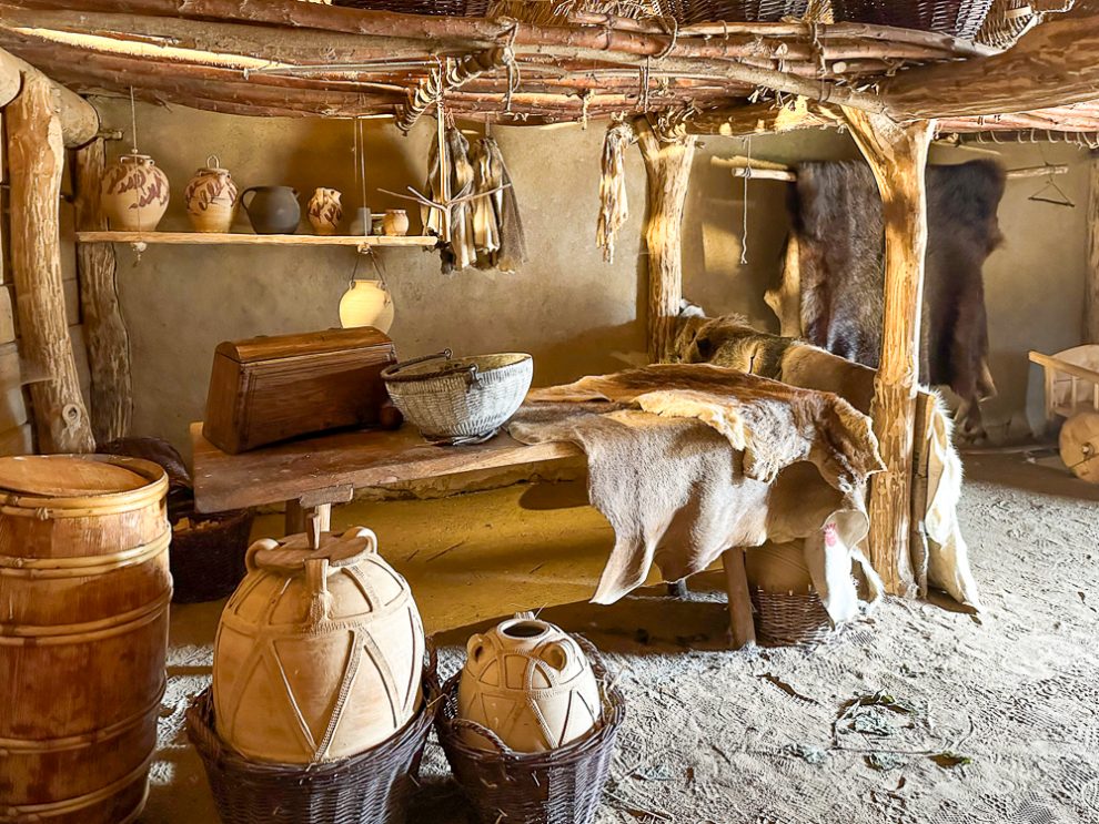 Reise in die Zeit der Wikinger – Das Wikingermuseum Haithabu